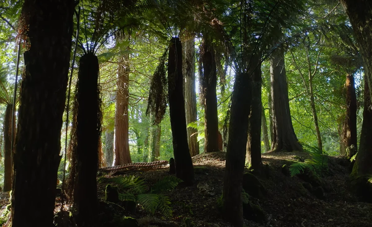 Carboniferous fern forest | Life on Our Planet Wiki | Fandom