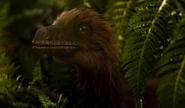 Marasuchus | Life on Our Planet Wiki | Fandom