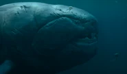 Dunkleosteus | Life on Our Planet Wiki | Fandom