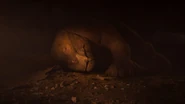 Lystrosaurus | Life on Our Planet Wiki | Fandom