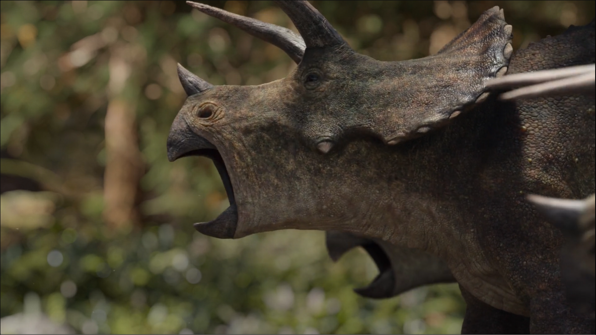 Triceratops | Life on Our Planet Wiki | Fandom
