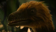 Marasuchus | Life on Our Planet Wiki | Fandom