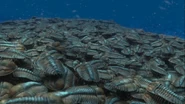 Olenoides | Life on Our Planet Wiki | Fandom