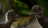 Marasuchus | Life on Our Planet Wiki | Fandom