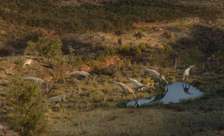 List of minor animals | Life on Our Planet Wiki | Fandom