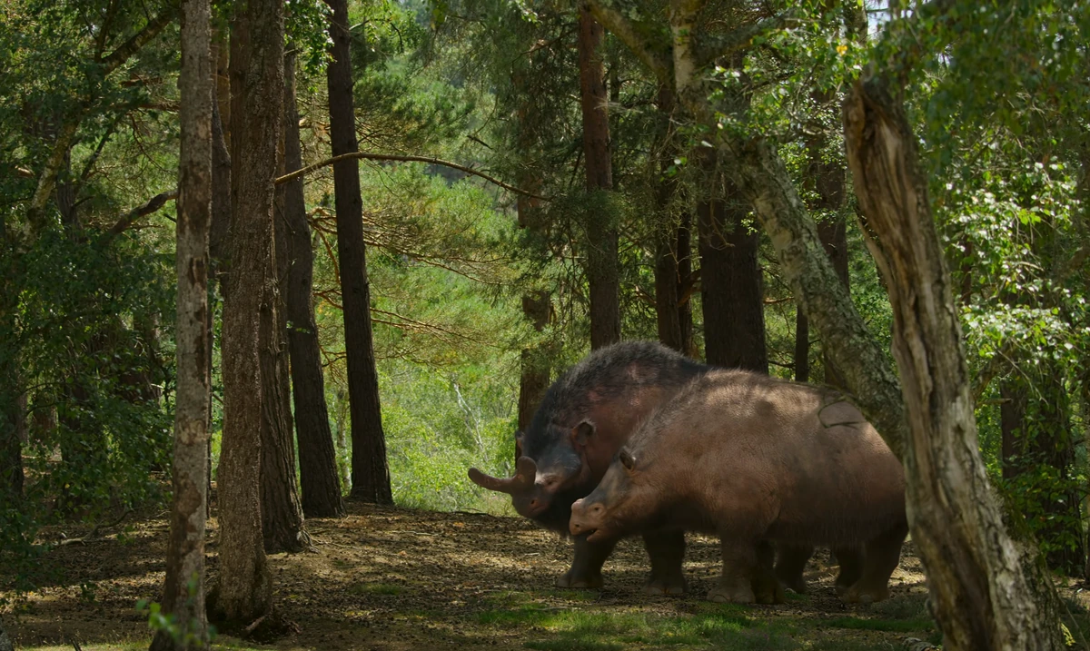 Paleogene | Life on Our Planet Wiki | Fandom