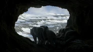 Cave lion | Life on Our Planet Wiki | Fandom