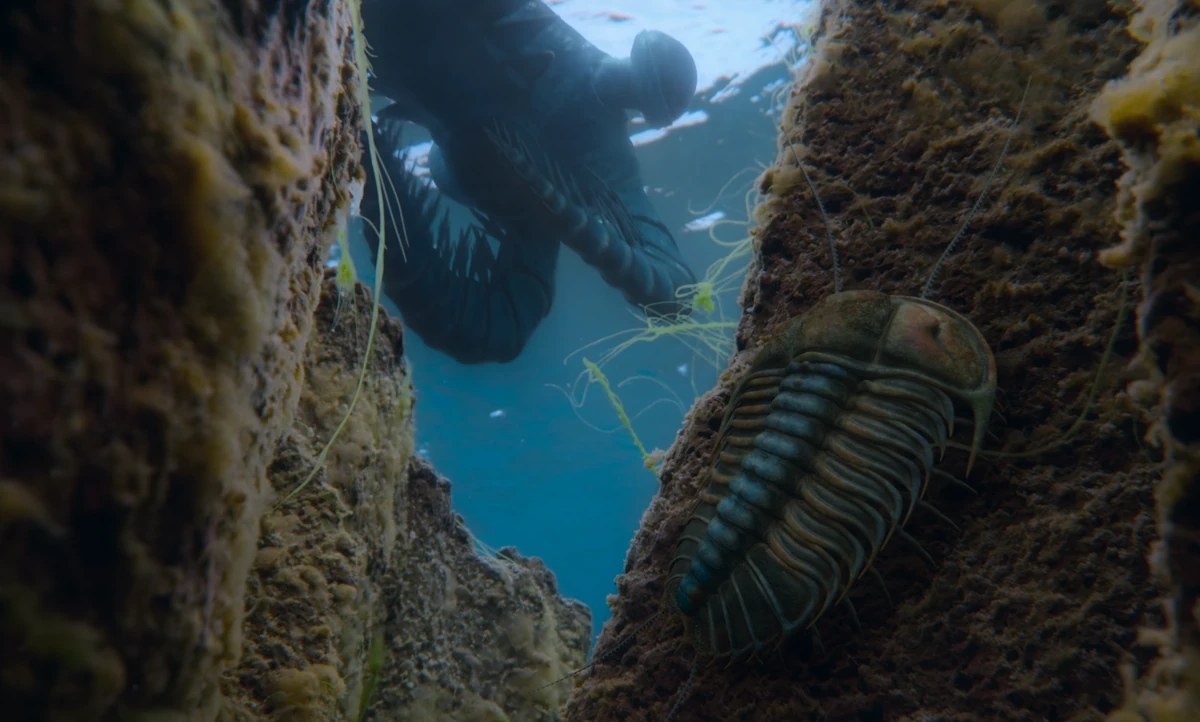 Cambrian | Life on Our Planet Wiki | Fandom