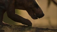 Inostrancevia | Life on Our Planet Wiki | Fandom