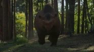 Megacerops | Life on Our Planet Wiki | Fandom