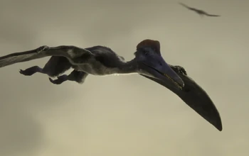 Pterodactylus | Life On Our Planet Wiki | Fandom