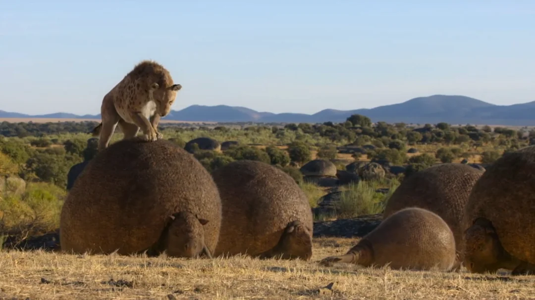 Chapter 7: Inheriting the Earth | Life On Our Planet Wiki | Fandom