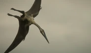 Pterodactylus | Life on Our Planet Wiki | Fandom