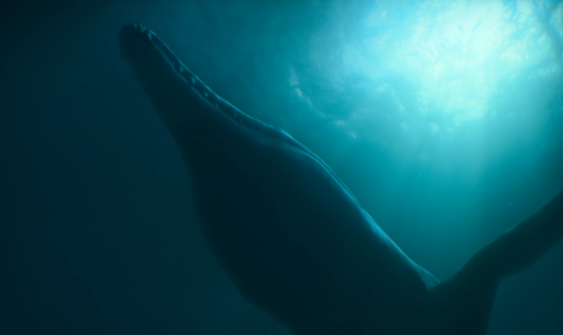 Discuss Everything About Life on Our Planet Wiki | Fandom
