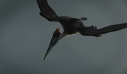 Pterodactylus | Life on Our Planet Wiki | Fandom