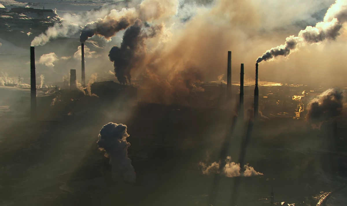 Holocene extinction | Life on Our Planet Wiki | Fandom