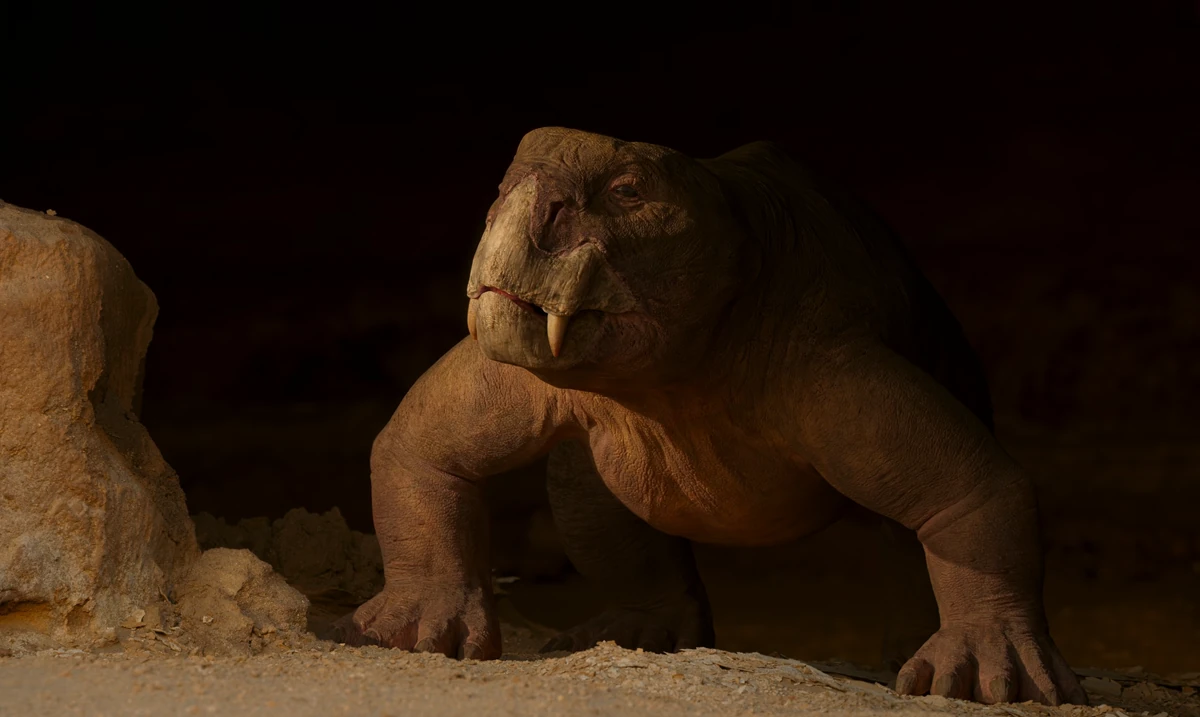 Lystrosaurus | Life on Our Planet Wiki | Fandom