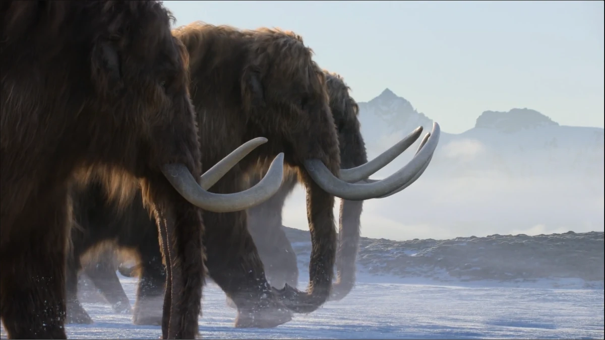 Woolly mammoth | Life on Our Planet Wiki | Fandom