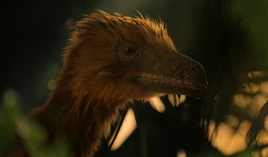 Marasuchus | Life on Our Planet Wiki | Fandom
