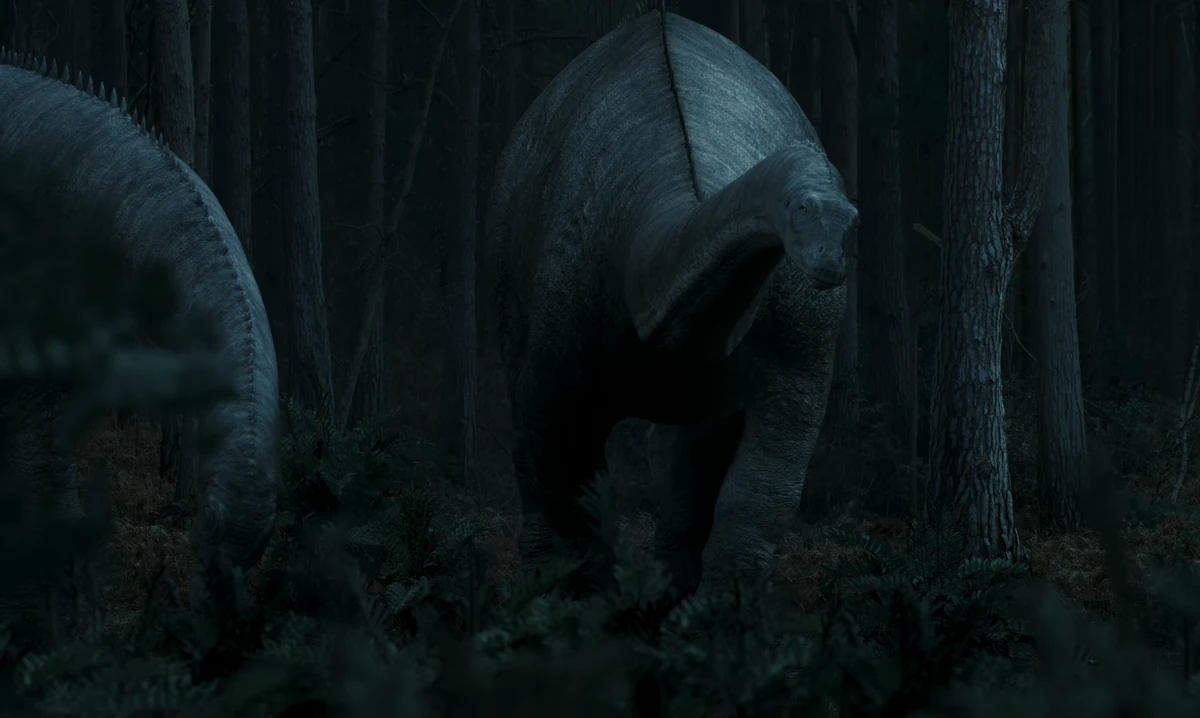 Diplodocus | Life On Our Planet Wiki | Fandom