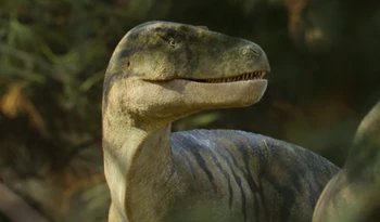Tyrannosaurus | Life on Our Planet Wiki | Fandom