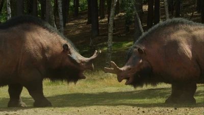 Megacerops | Life on Our Planet Wiki | Fandom