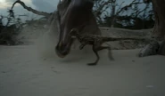 Marasuchus | Life on Our Planet Wiki | Fandom