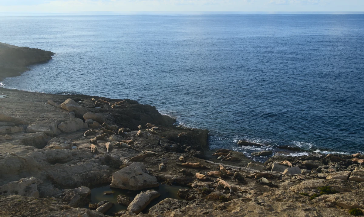 Tethys Ocean | Life on Our Planet Wiki | Fandom