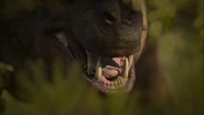 Inostrancevia | Life on Our Planet Wiki | Fandom