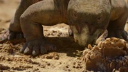 Lystrosaurus | Life on Our Planet Wiki | Fandom