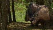 Megacerops | Life on Our Planet Wiki | Fandom