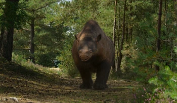 Megacerops | Life On Our Planet Wiki | Fandom