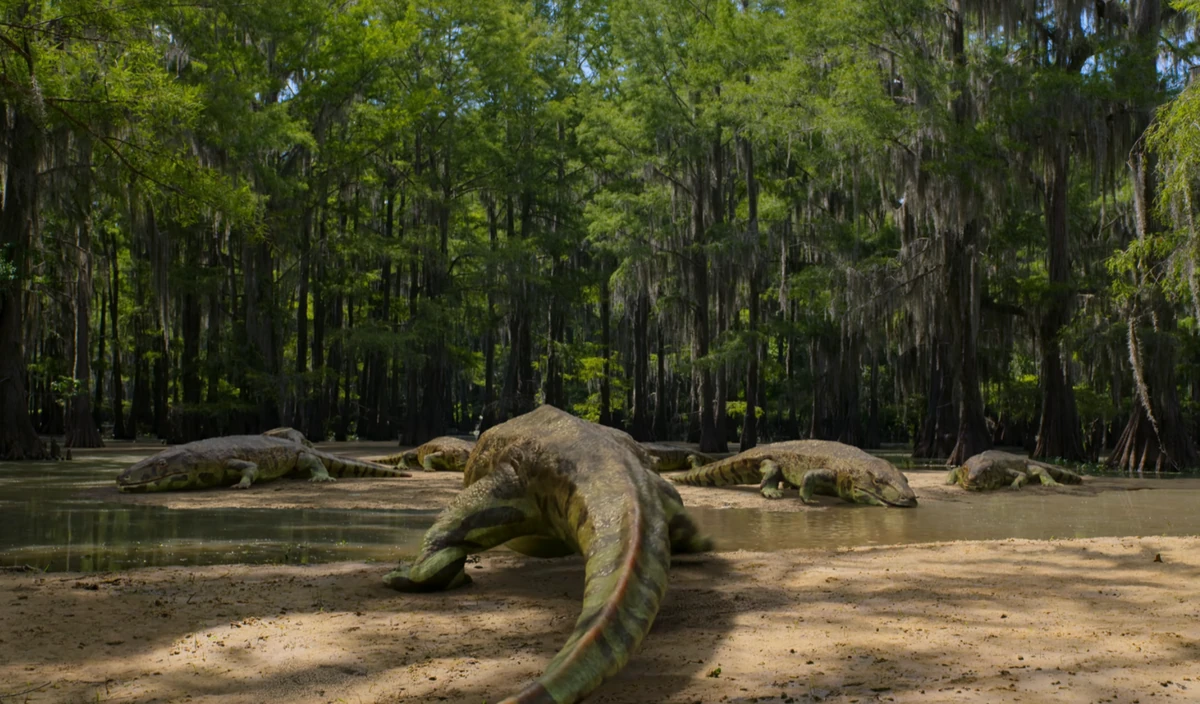 List of speculations | Life on Our Planet Wiki | Fandom