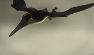 Pterodactylus | Life on Our Planet Wiki | Fandom