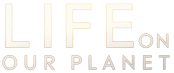 Smilodon | Life On Our Planet Wiki | Fandom