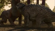 Inostrancevia | Life on Our Planet Wiki | Fandom