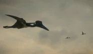 Pterodactylus | Life on Our Planet Wiki | Fandom
