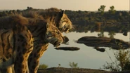 Smilodon | Life on Our Planet Wiki | Fandom