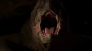 Lystrosaurus | Life on Our Planet Wiki | Fandom