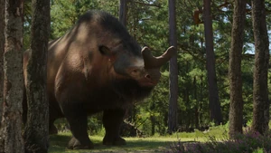 Paleogene | Life on Our Planet Wiki | Fandom