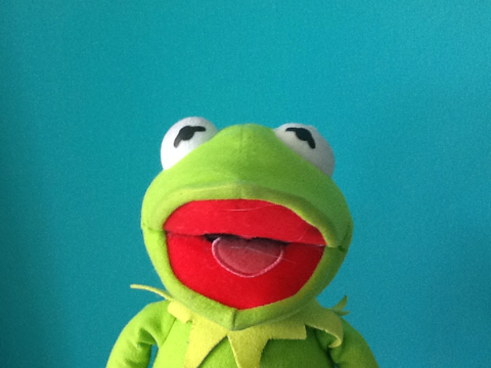 Kermit | Life With Three Dragons Wiki | Fandom