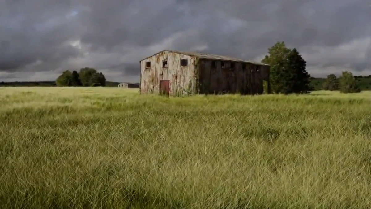 Fireworks Factory | Life After People Wiki | Fandom