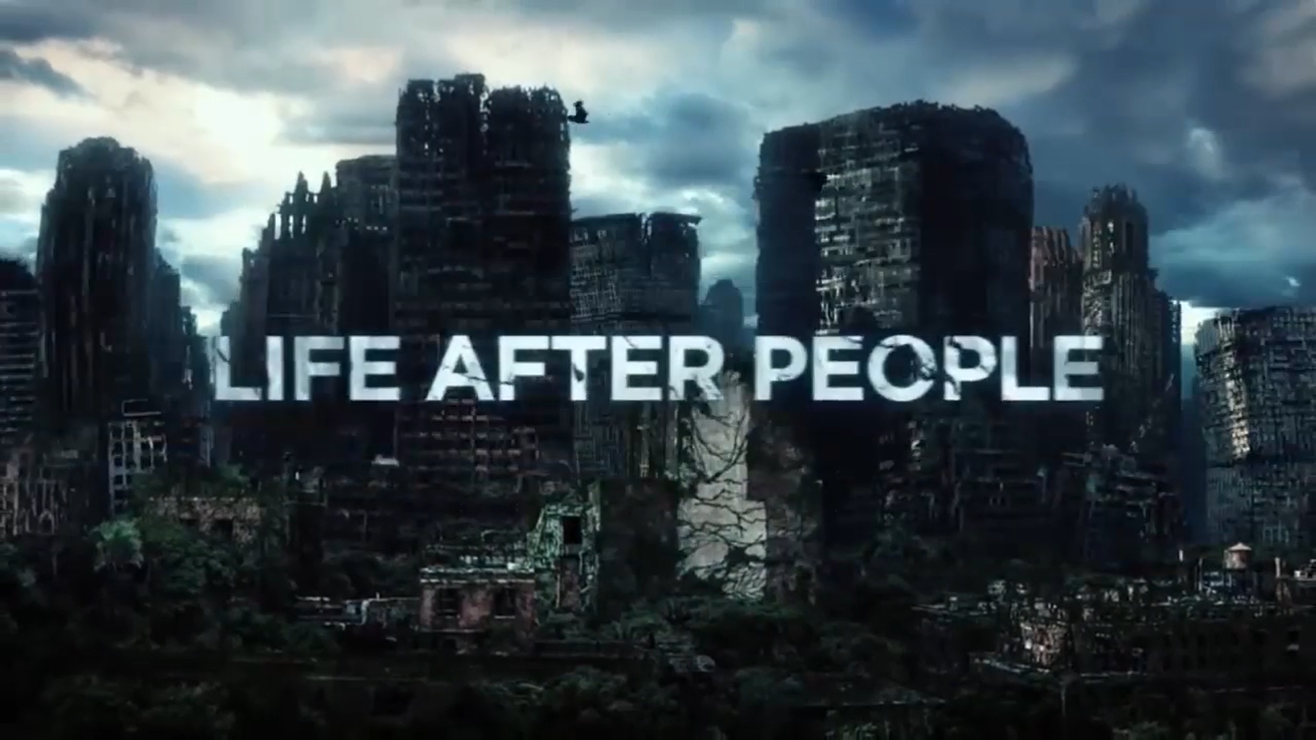 Discuss Everything About Life After People Wiki | Fandom