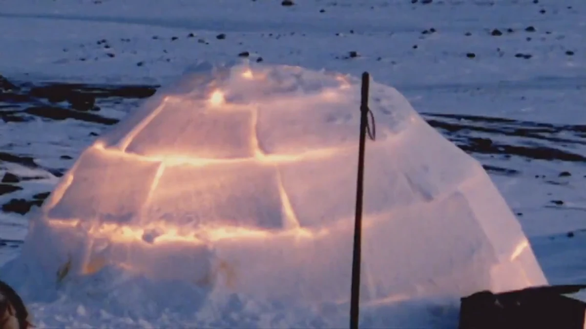 Igloos | Life After People Wiki | Fandom