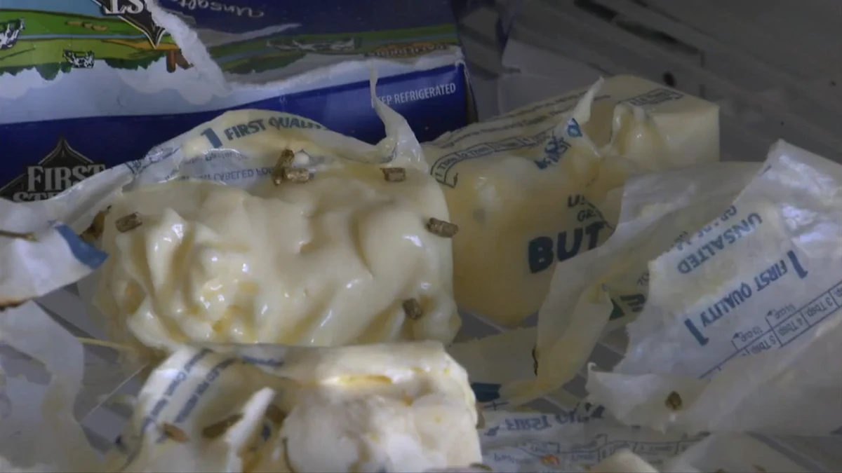 Butter | Life After People Wiki | Fandom