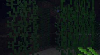 Seaweed | Life In The Woods (Minecraft Modpack) Unofficial Wiki | Fandom