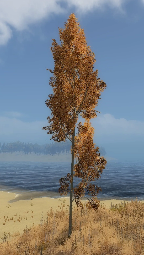 Espe – Offizielles Life is Feudal Wiki