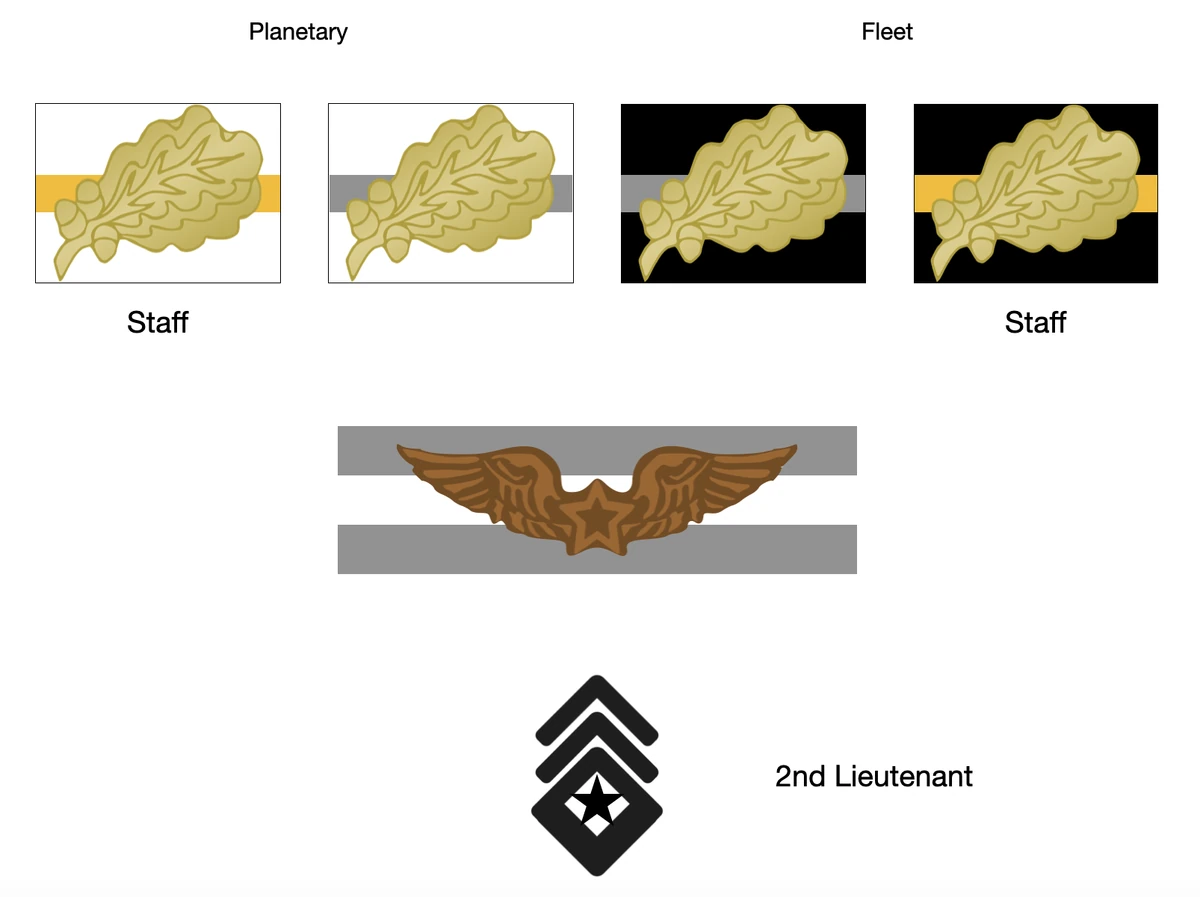 Avius Armed Forces O-6 Rank | Life's Cradle Wiki | Fandom
