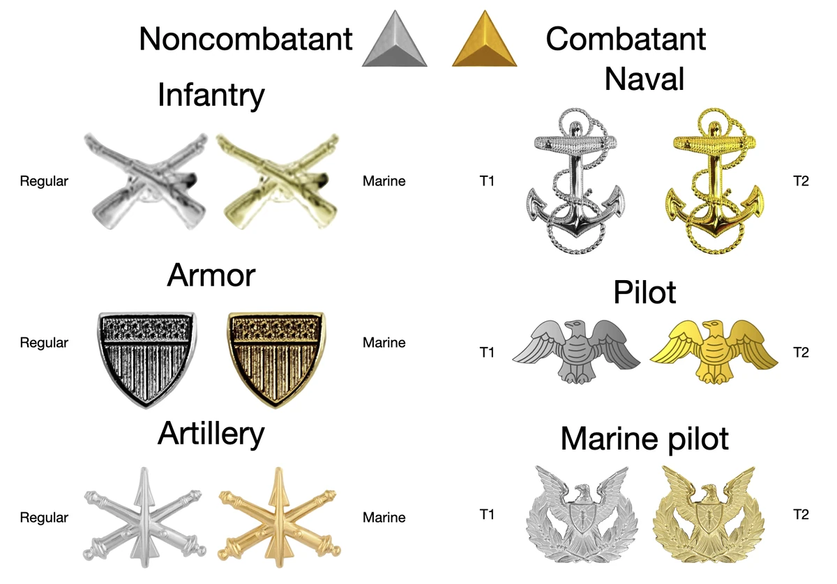 Avius Armed Forces Combat unit identification badges | Life's Cradle ...