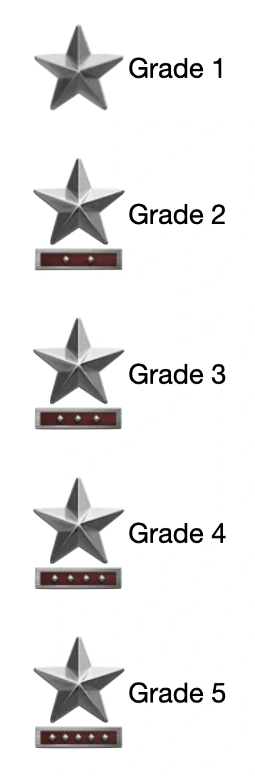 Avius Armed Forces Novice proficiency level | Life's Cradle Wiki | Fandom